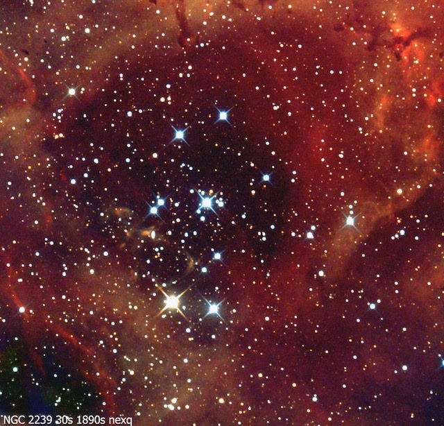 Customized Platforms | Optical Ed's